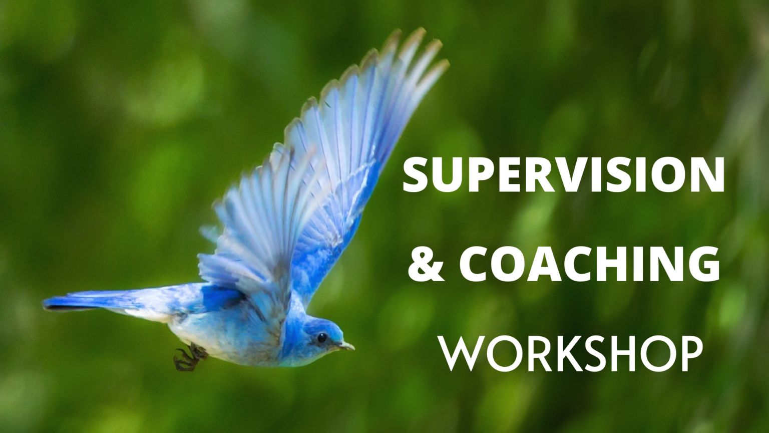 Supervision and Coaching Workshop | ISCI